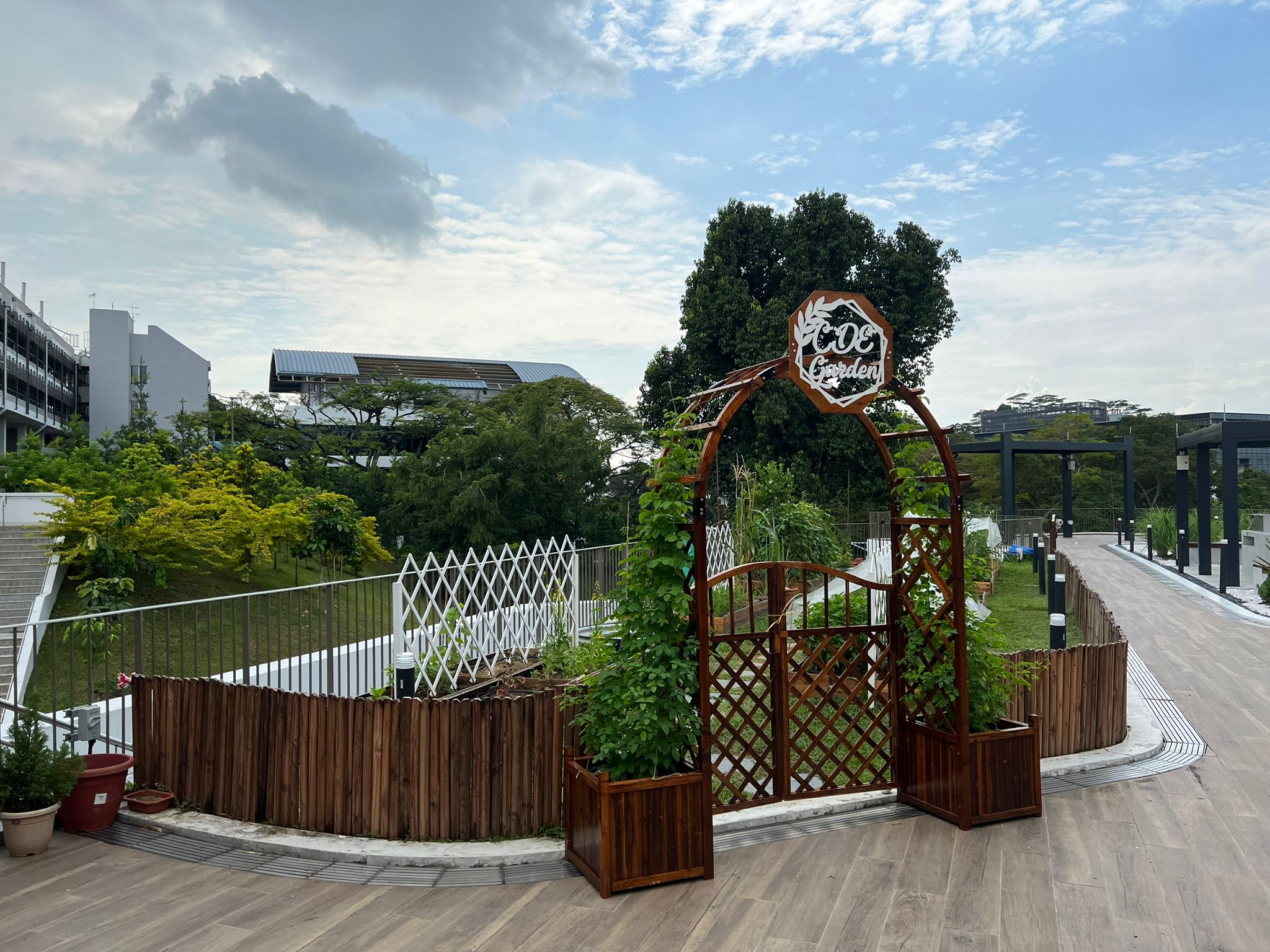 Gallery | Guan Lee Heng Landscaping Pte Ltd